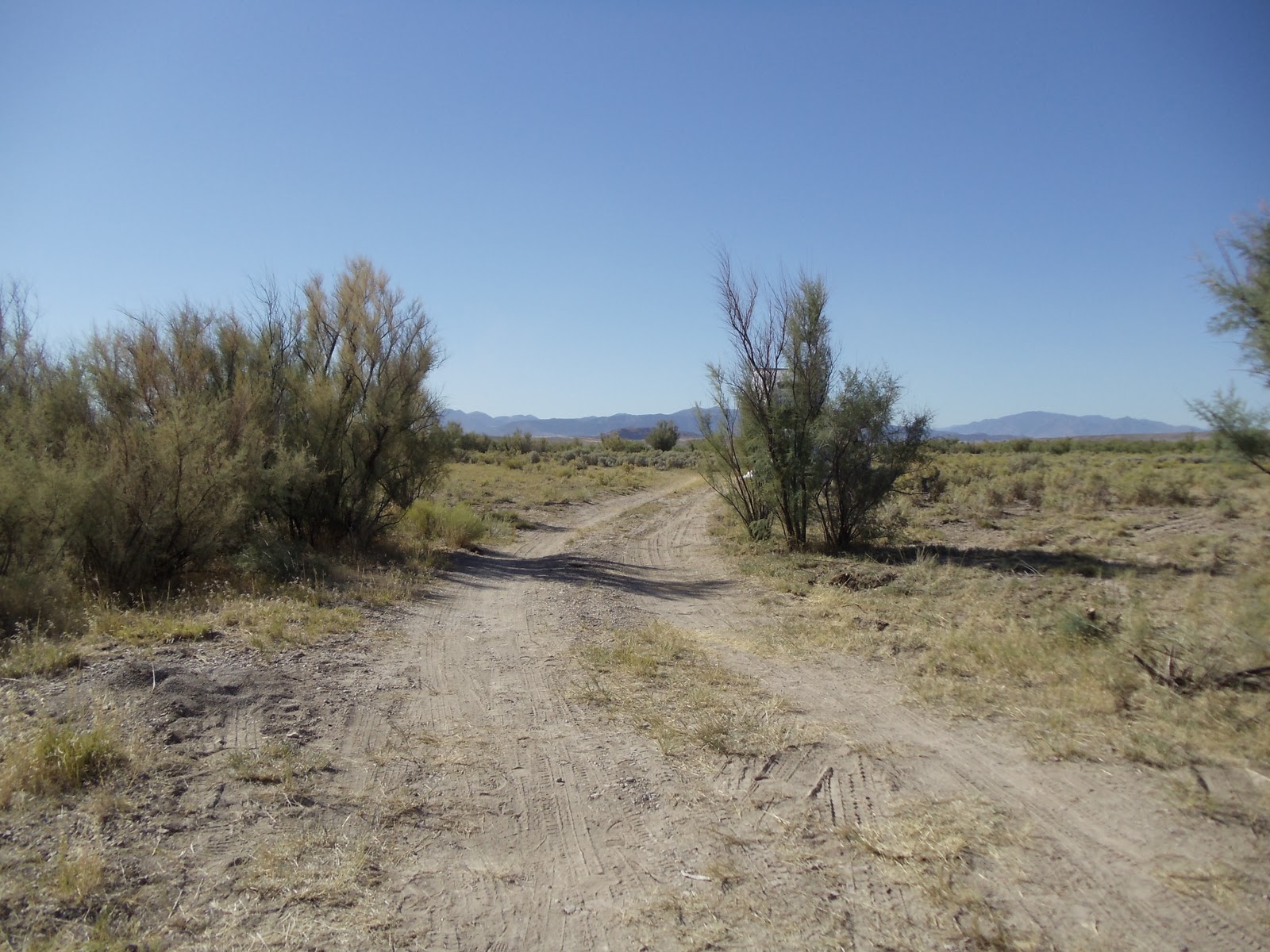 "17 Miracles"--An Extra's Viewpoint: Pioneers