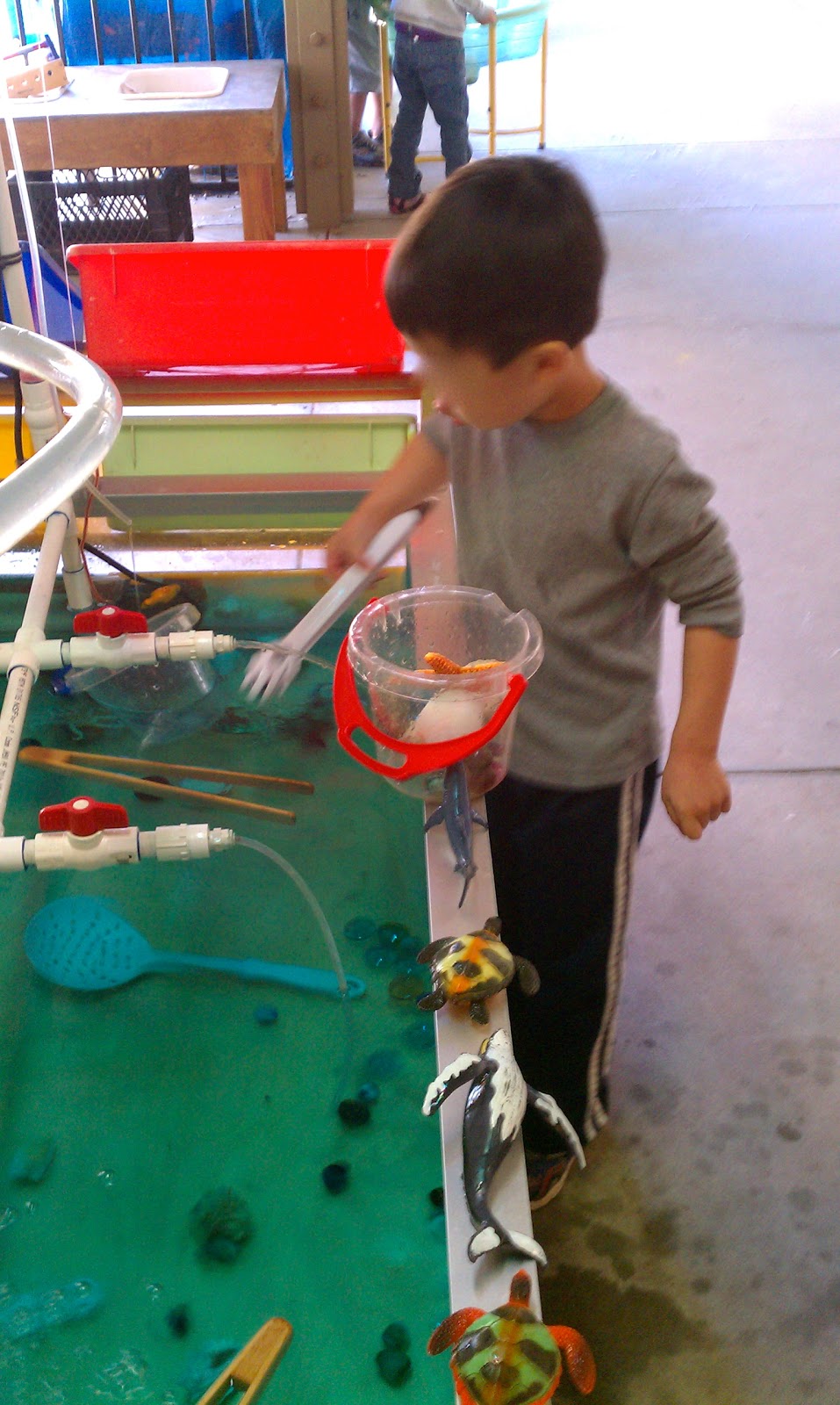 Exploring the Outdoor Classroom: Engaging Water Play - Sea Creatures ...