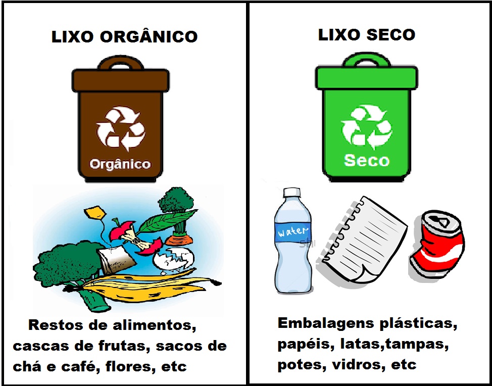 Lixo Orgânico E Inorgânico - RETOEDU