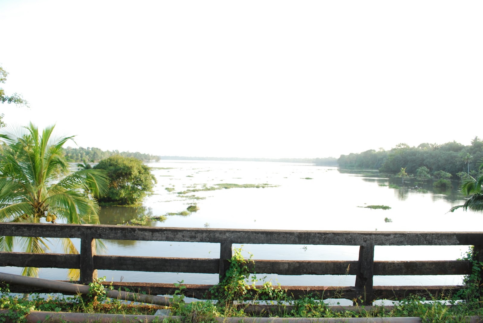 pavumba പാവുമ്പ: Pavumba Image Gallery