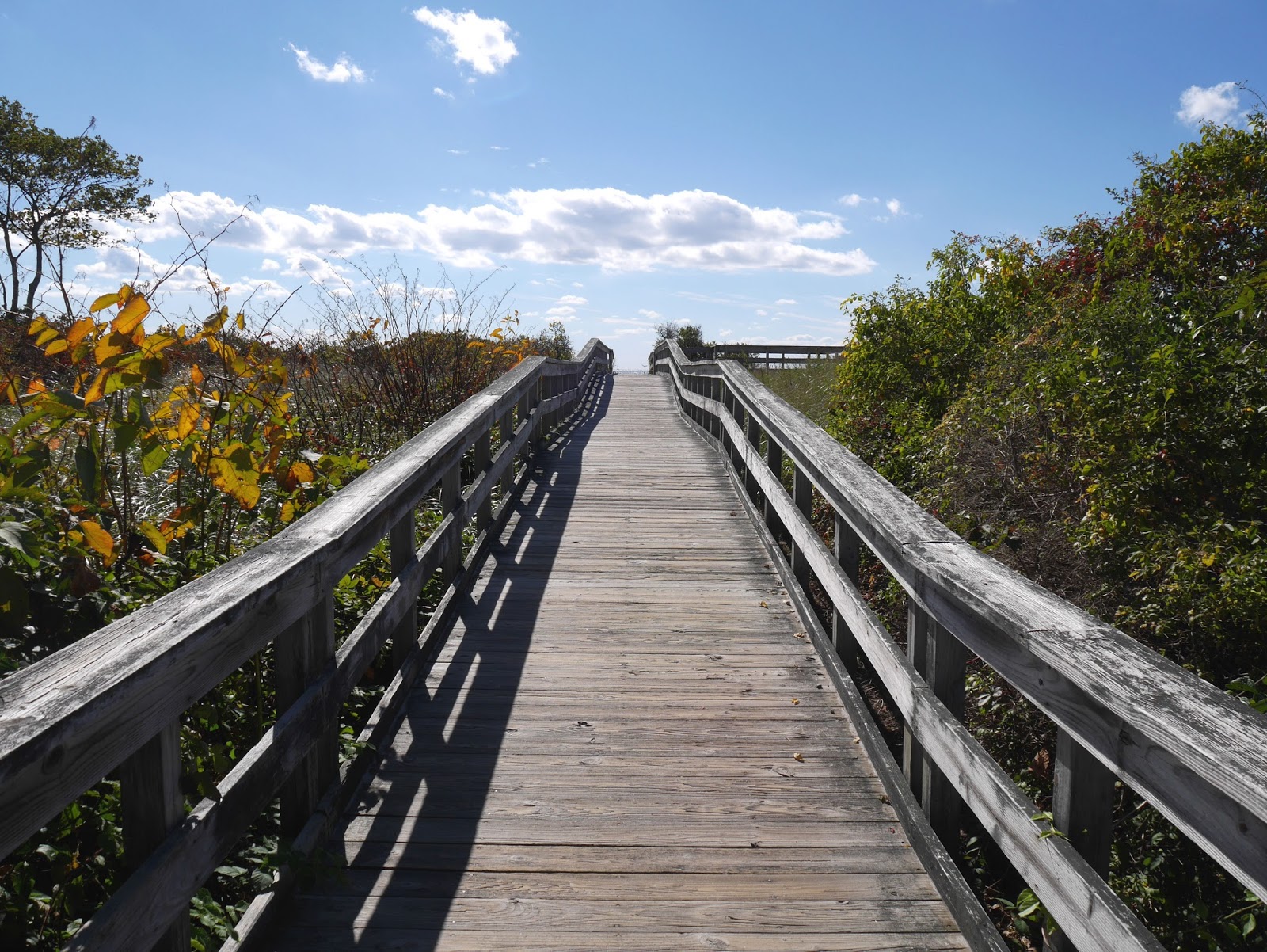 The Size of Connecticut: A Walk at Harkness Memorial State Park