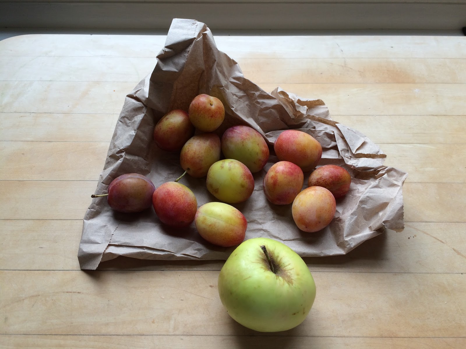 USEFUL or BEAUTIFUL: Plummy