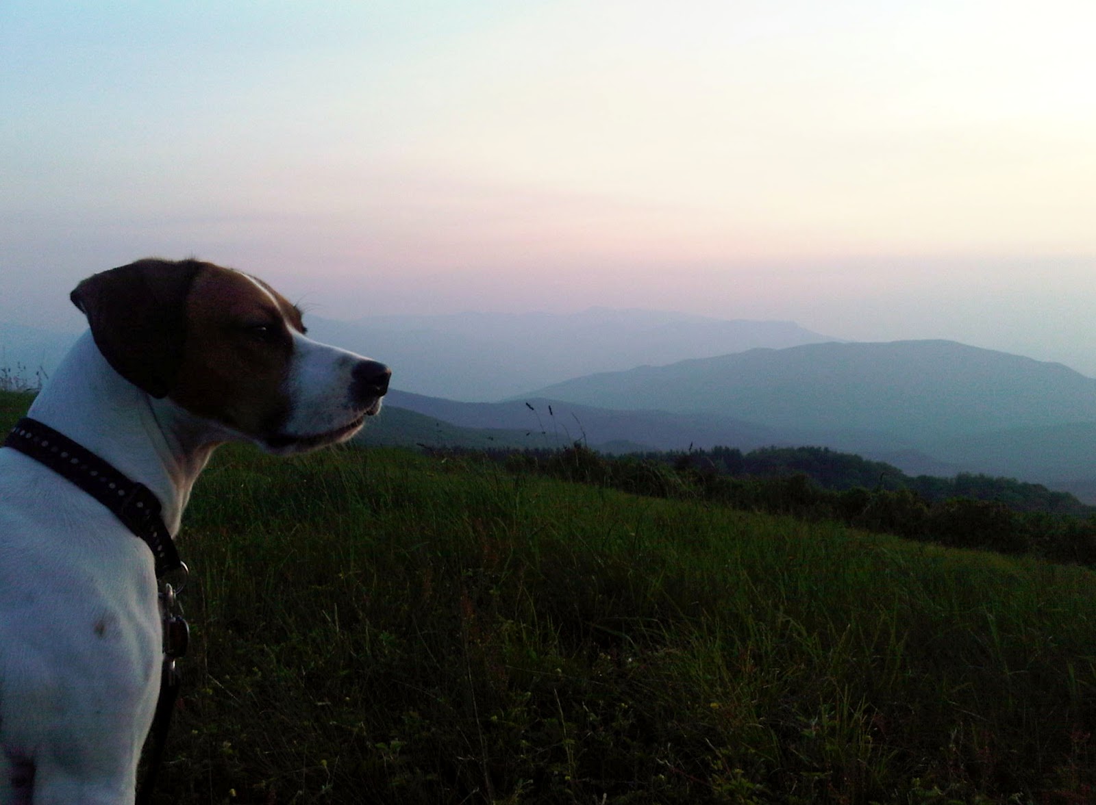 NC BACKCOUNTRY: Max Patch