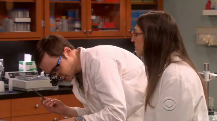 The Big Bang Theory – Episode 5-16 Review – “Vacation Time!” – Inside Pulse