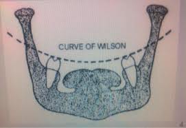 Penyusunan Gigi Mata Kuliah GTL | Today should be better than yesterday