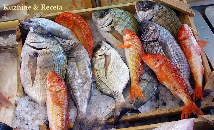 Kuzhine - Receta: Roli i peshkut ne organizmin e njeriut