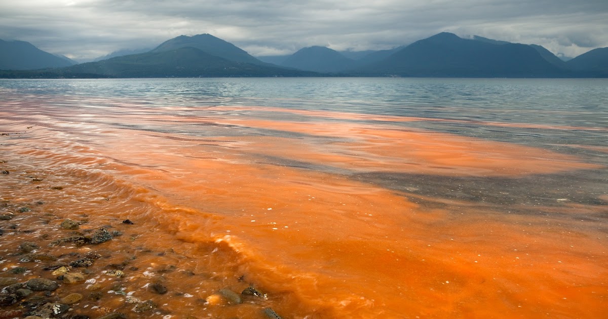 NOCTILUCA Iluminación: NOCTILUCA