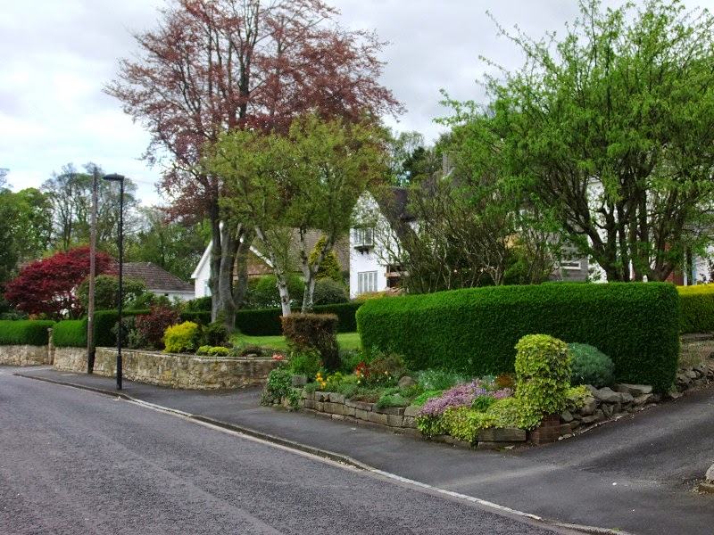 Photographs Of Newcastle: Walbottle