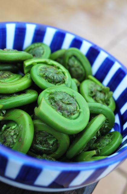 Scrumpdillyicious: Fresh Ontario Fiddleheads Sautéed with Garlic