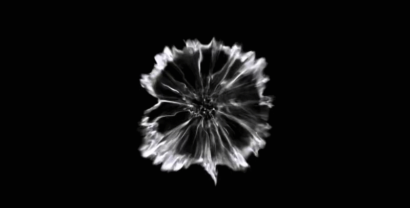 BallasvagoFX: Video Effects | Shockwaves | Ondas de Choque