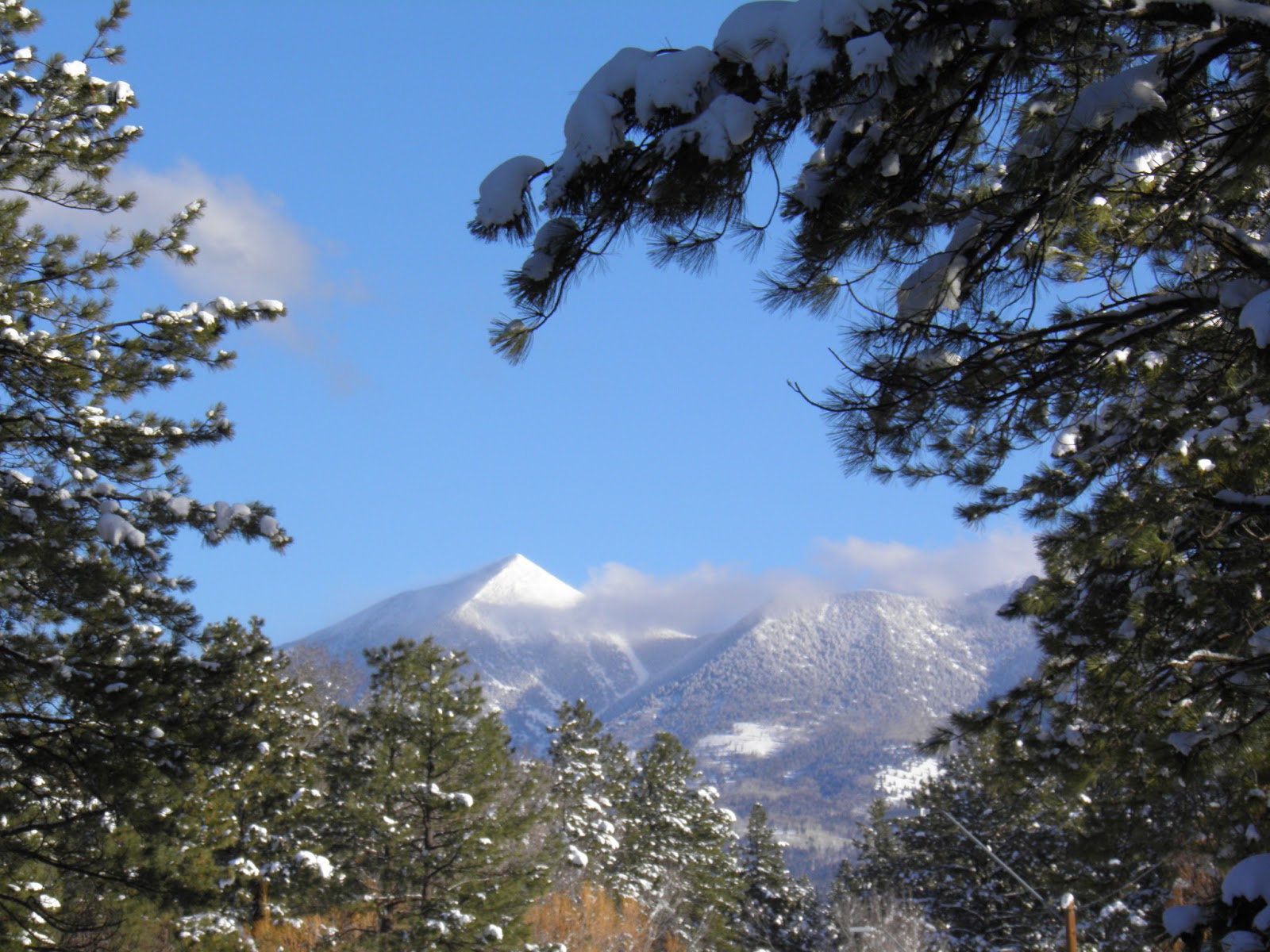 walking flagstaff: sunday after snow