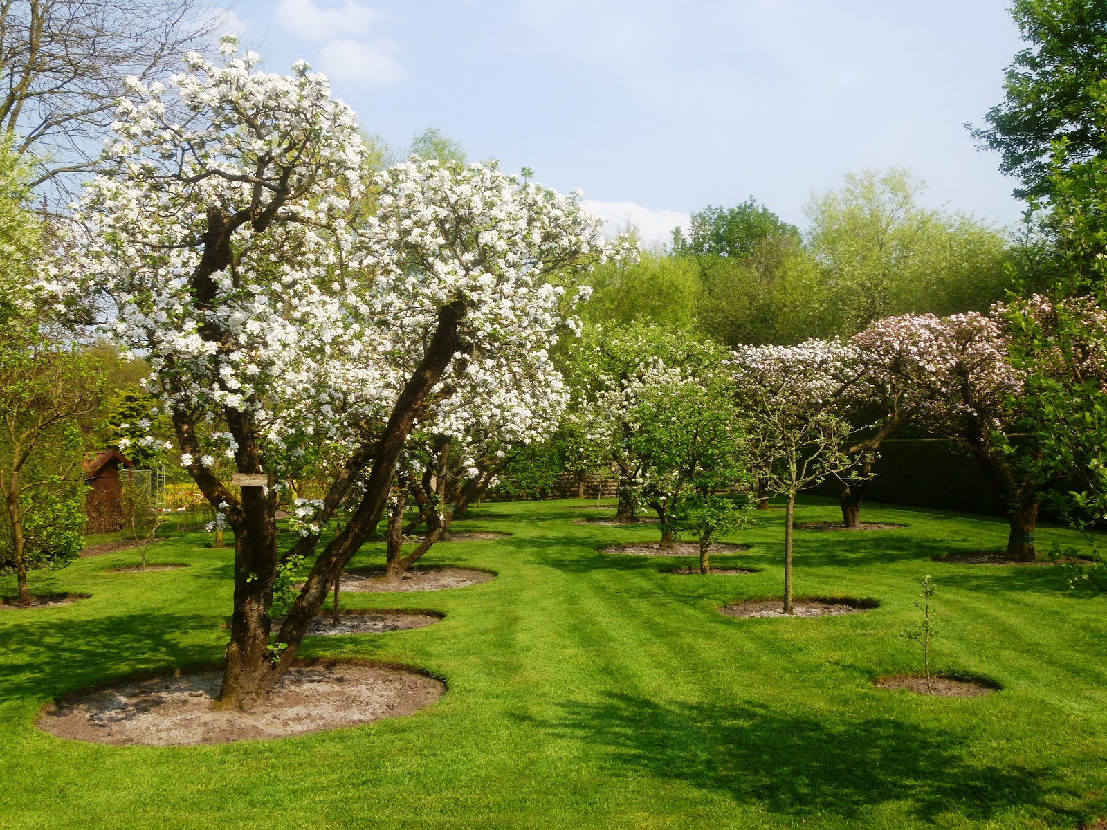 Bomenstichting Achterhoek: Boomgaarden in bloei