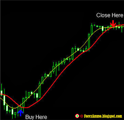 T3 Snake Trading System | Forex Ammo