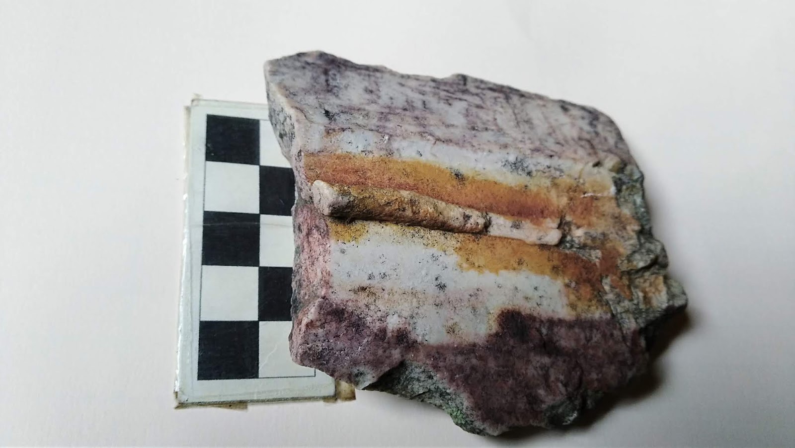 Arroba de los Montes: EL GUSANO GIGANTE FOSIL(Paleoficus tubularis) EN ...