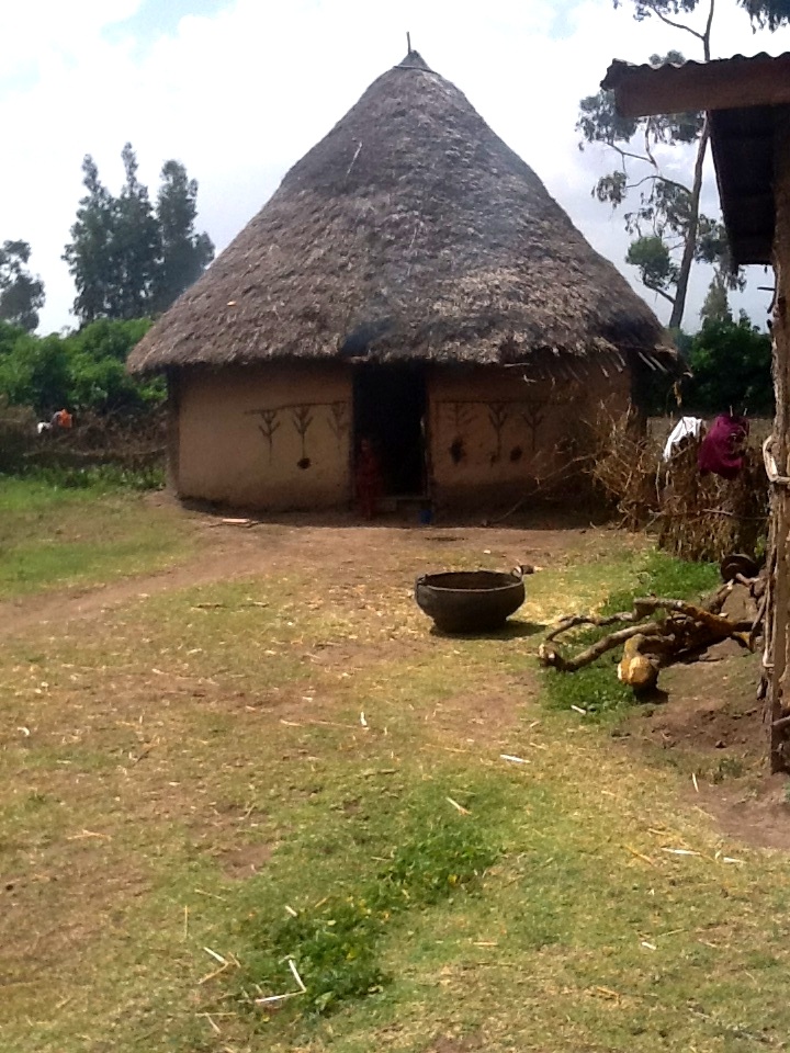 DEXTER IN ETHIOPIA: Images from life in Iteya, Ethiopia