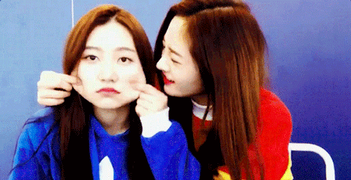 squish face: asian cheek squish