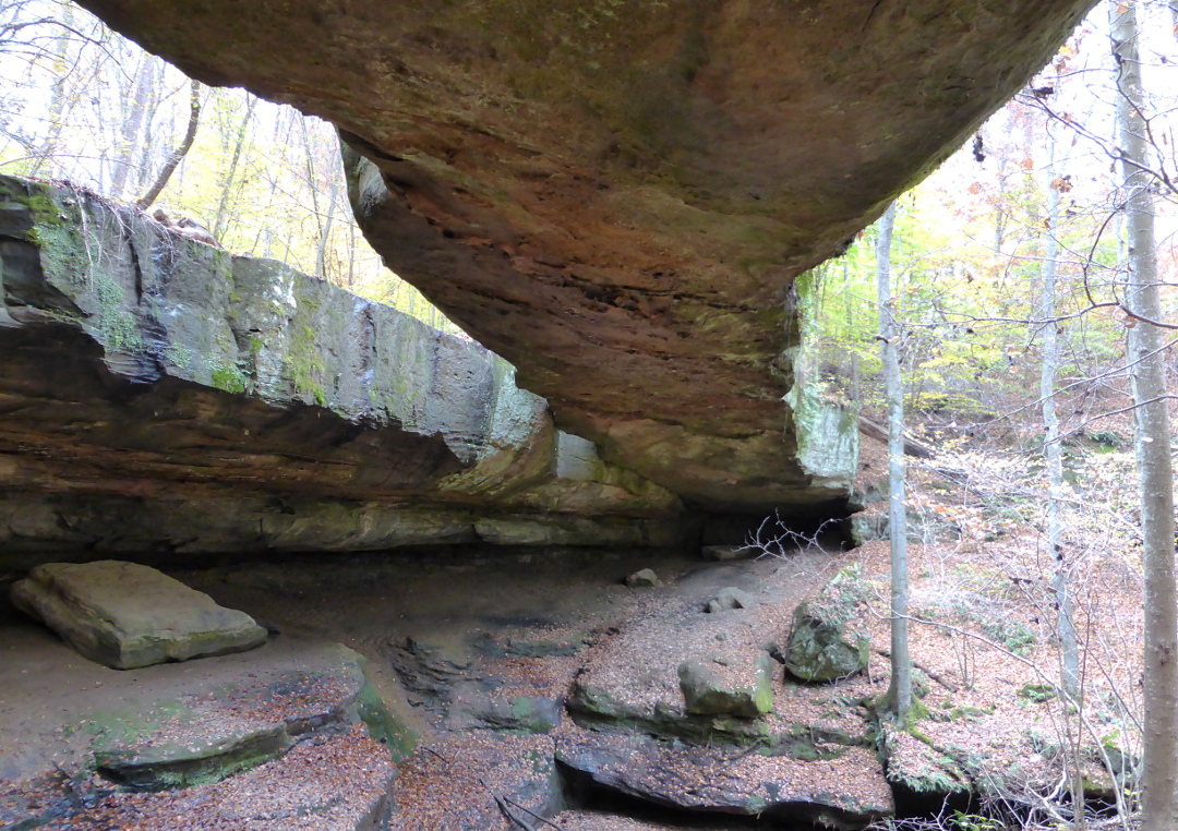 Another Side of this Life: Rockbridge and Rhododendron Cove State ...