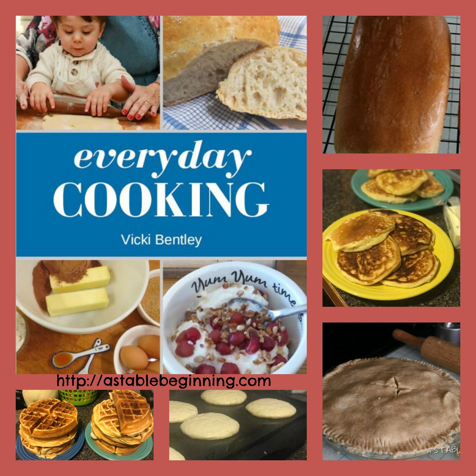 A Stable Beginning: Everyday Homemaking: Everyday Cooking ~ a TOS review