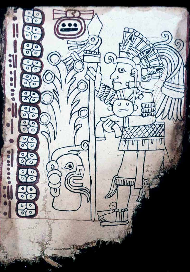 Historia del Arte: Códice Maya de México