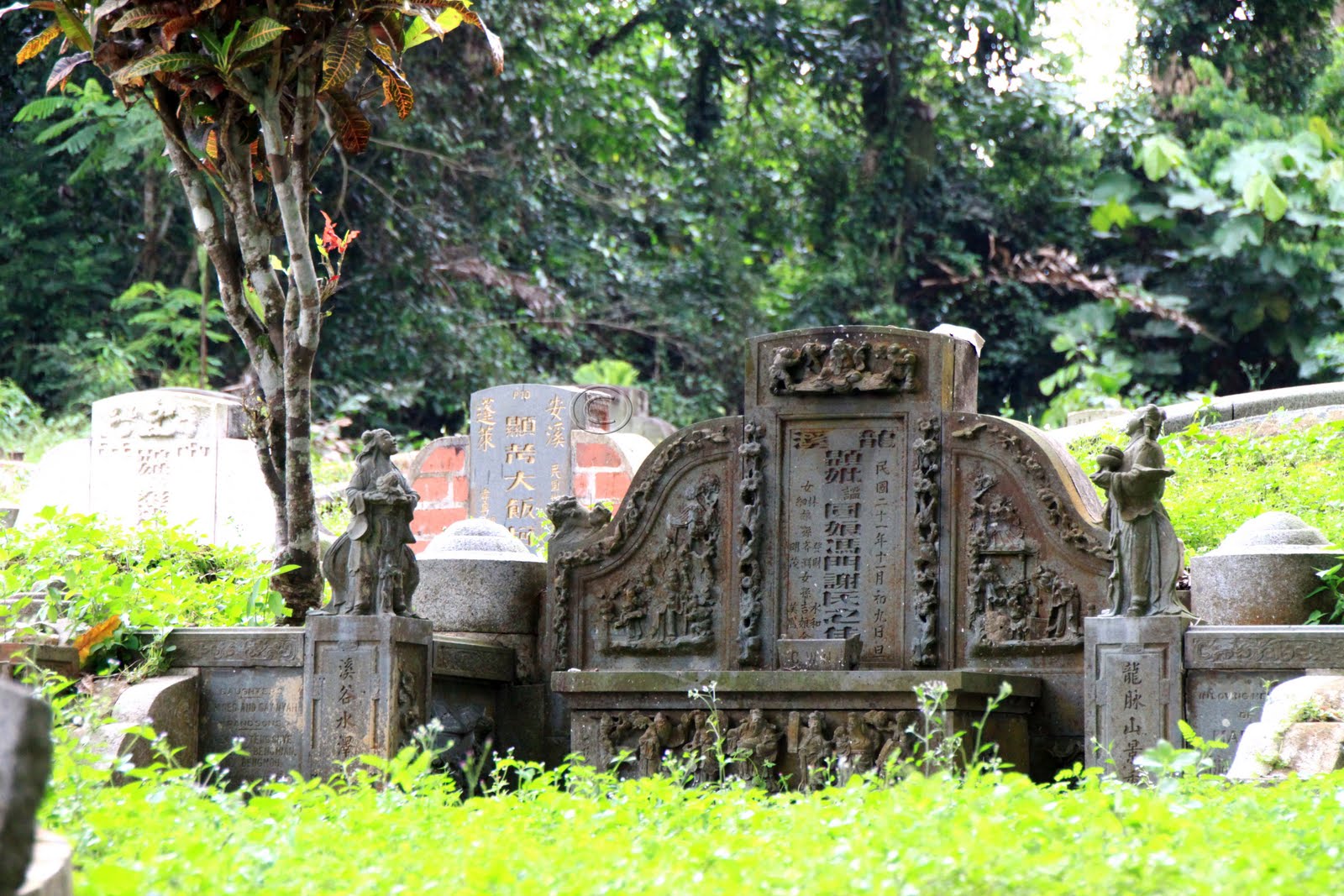 Bukit Brown Cemetery Singapore – My Singapore Travel