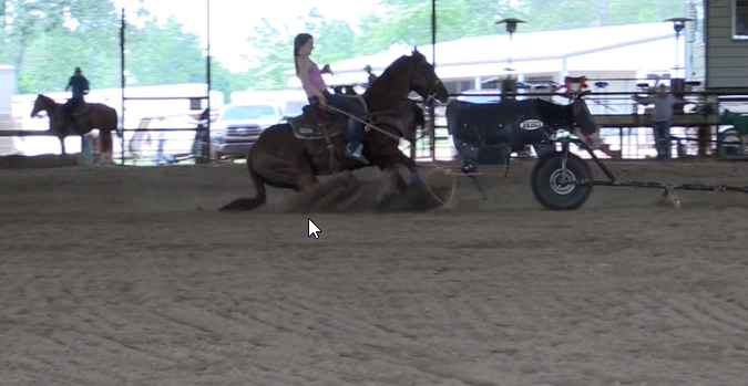 Speed Williams Team Roping: 2016Speed Williams Team Roping Blog