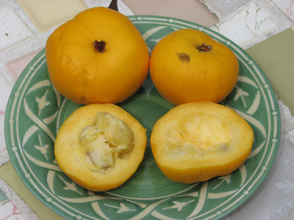 Conserva de la Mermelada de Araza: Conserva de la Mermelada de Arazá