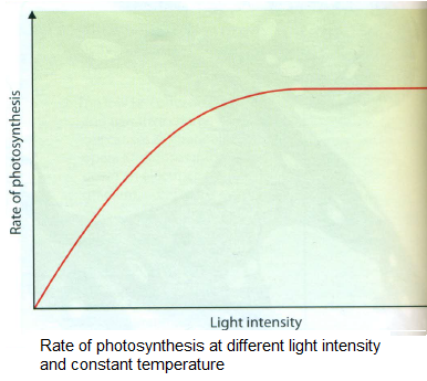 #105 Limiting factors in photosynthesis | Biology Notes for A level