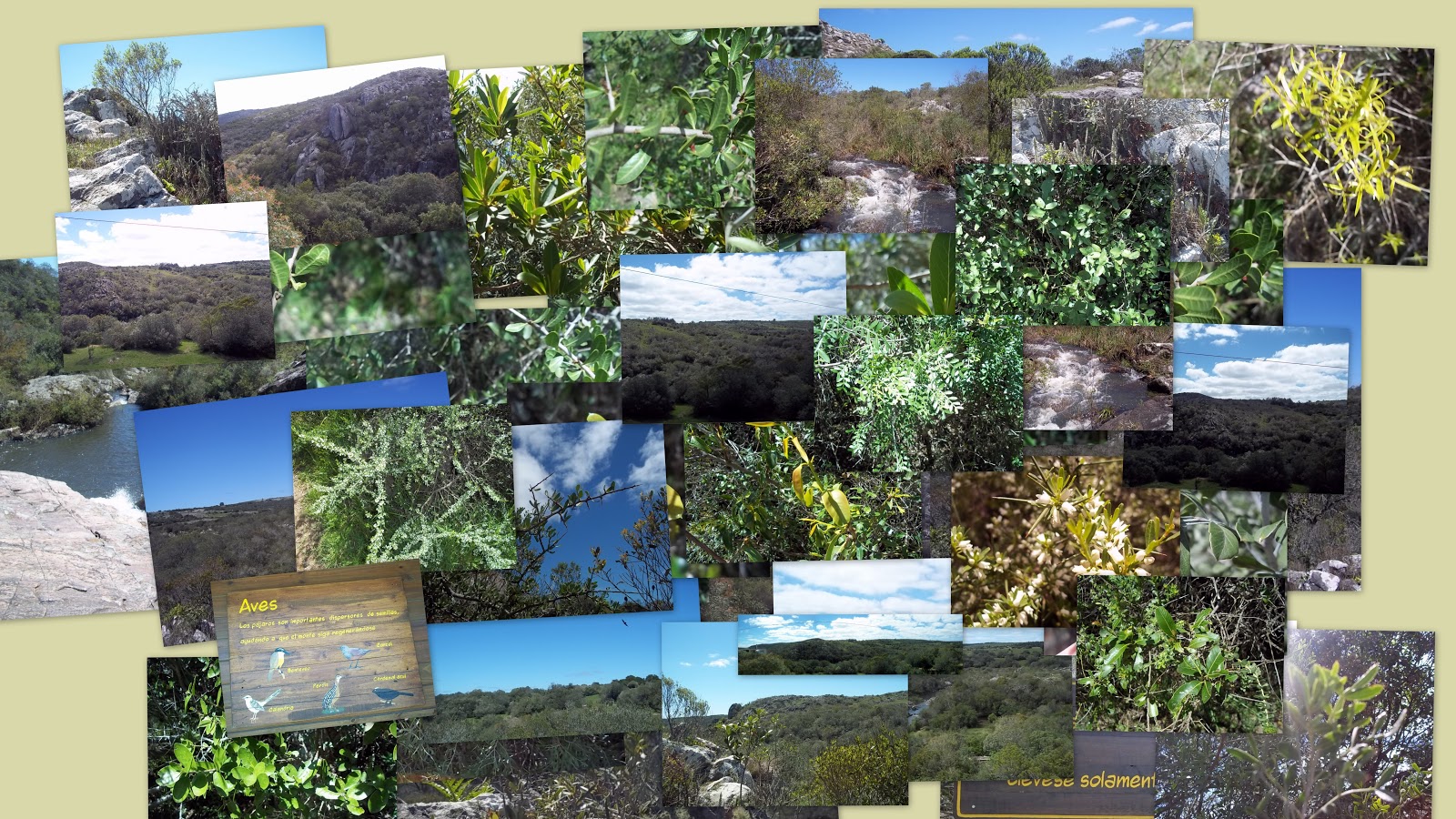 Preservemos el Monte Serrano : octubre 2012