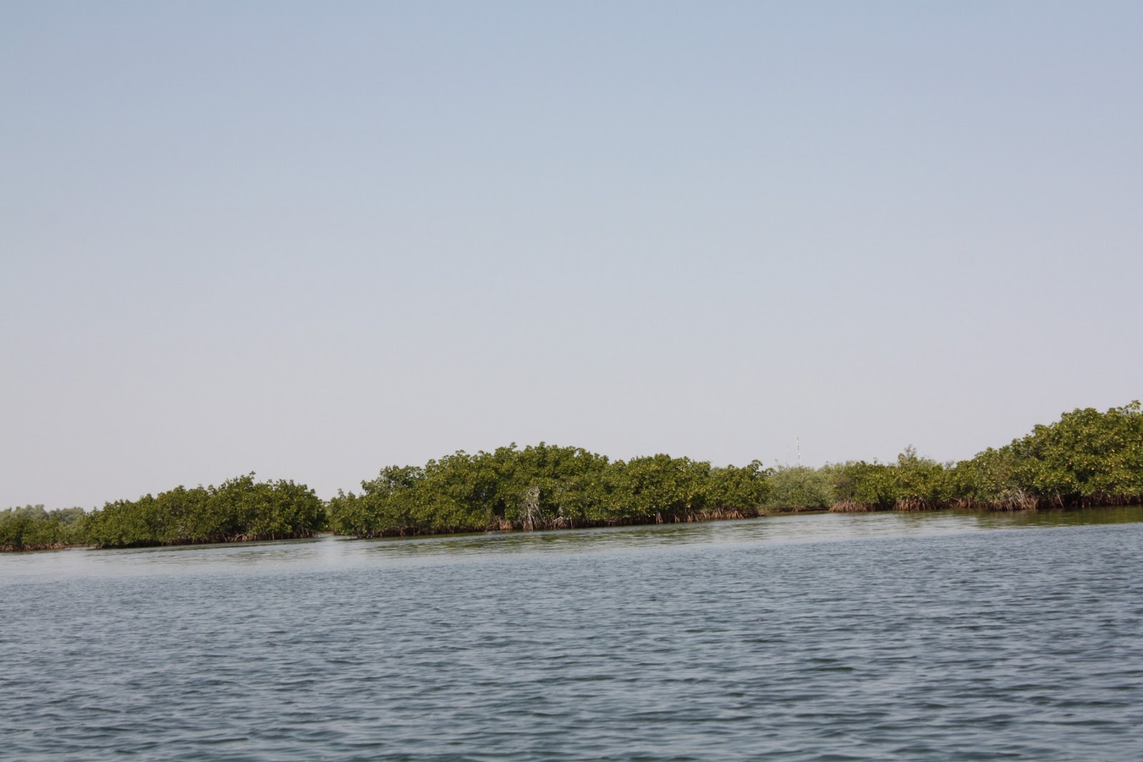 Mi Universo Viajando: PARQUE NATURAL SINE SALOUM SENEGAL