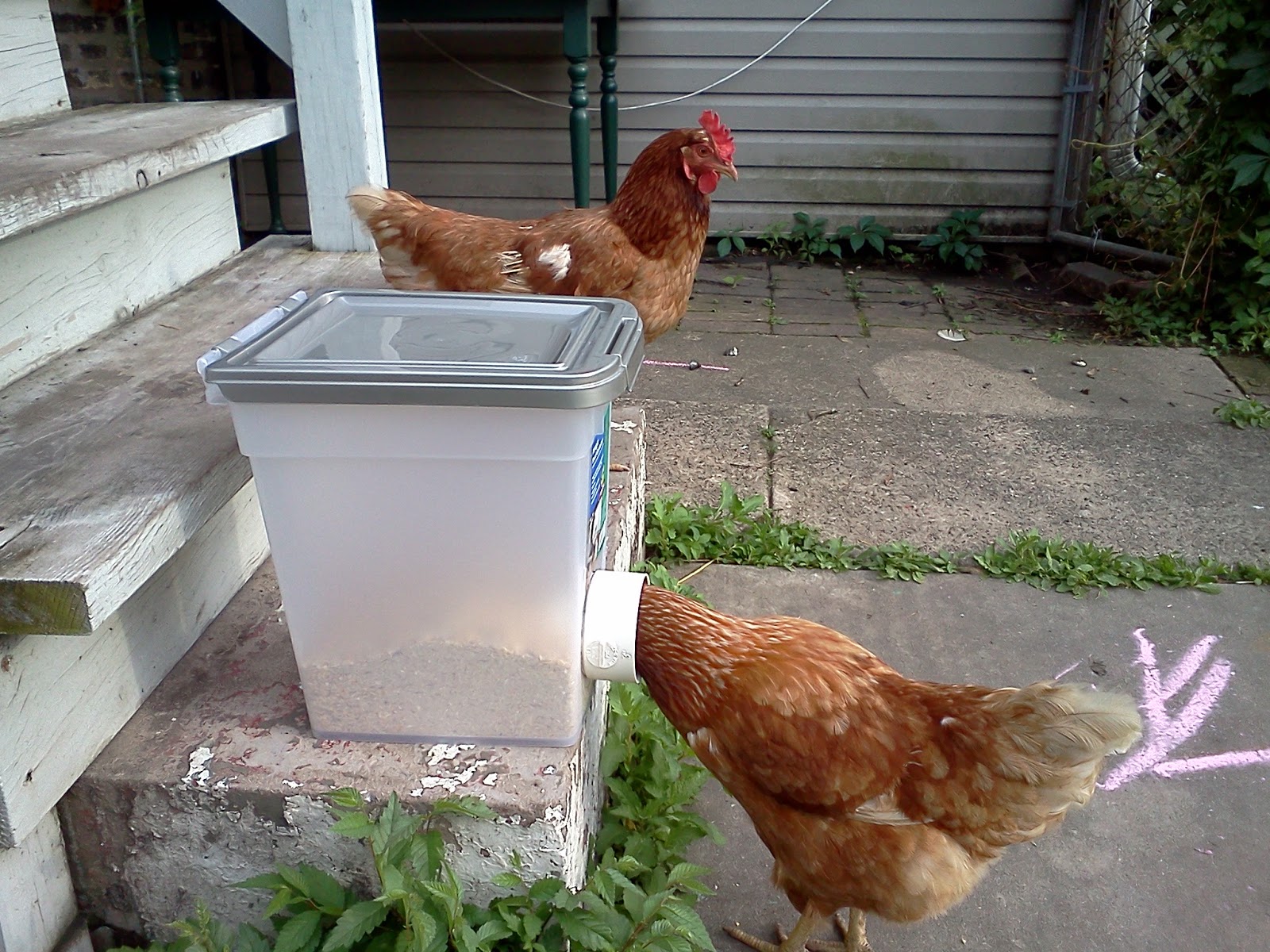 Making a Life: Chicken Ark Upgrades: Building a No-Mess, Hassle-Free Feeder