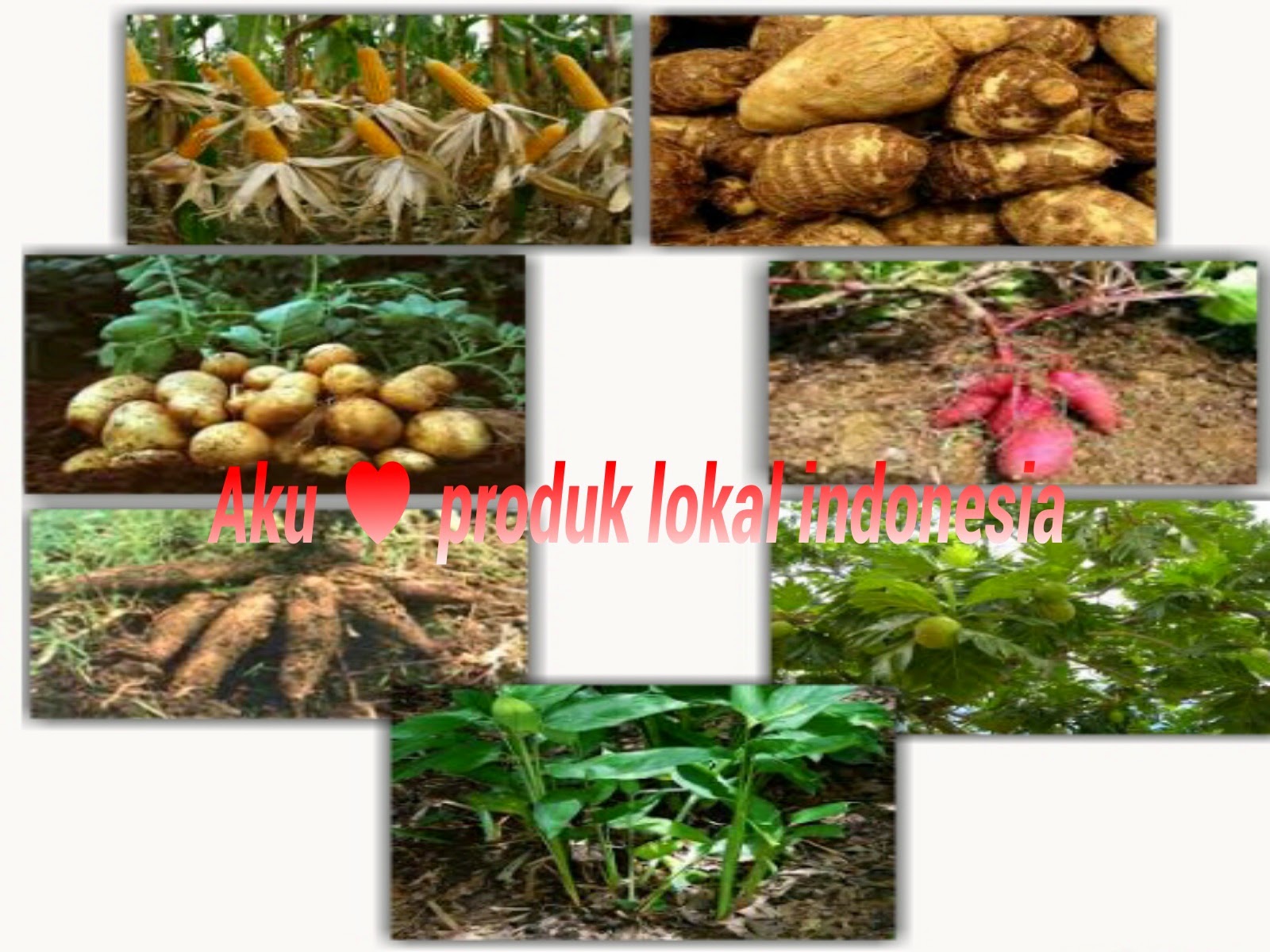 Tepus Somorejo: Potensi Pangan Lokal Menuju Ketahanan Pangan Nasional