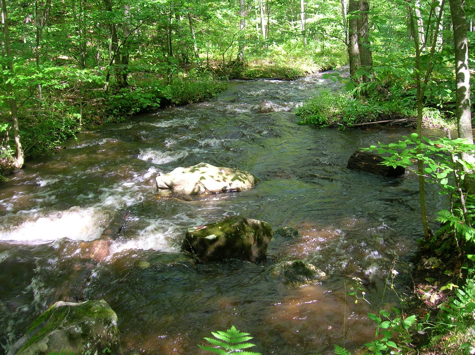Small Stream Reflections: A Tale of Two Streams