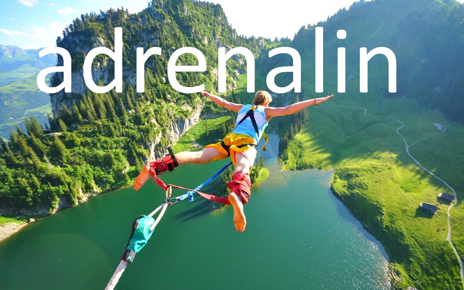 adrenalin - BilginCin