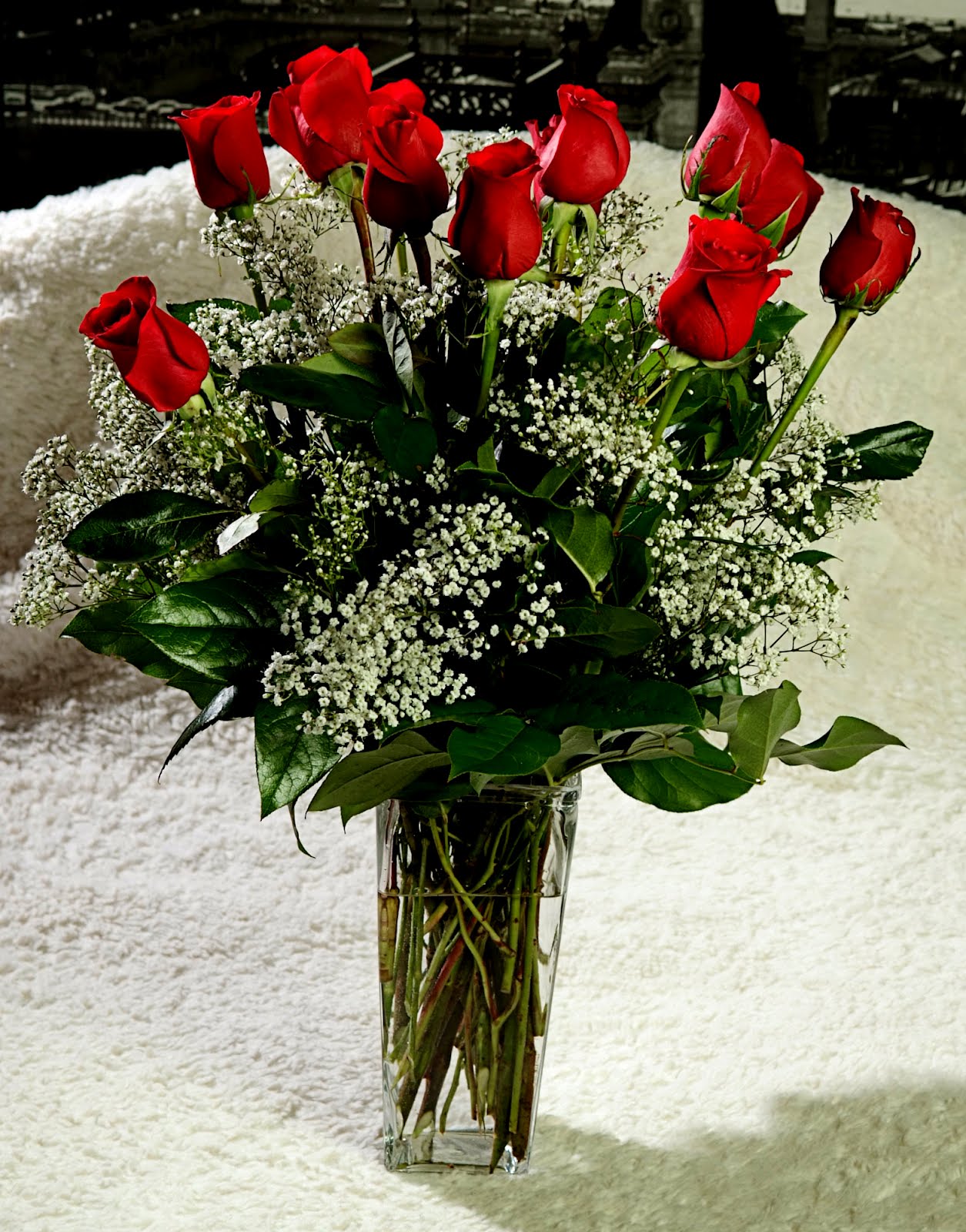 Ashland Addison Florist Co - Chicago, IL: $10 OFF A Dozen Roses for ...