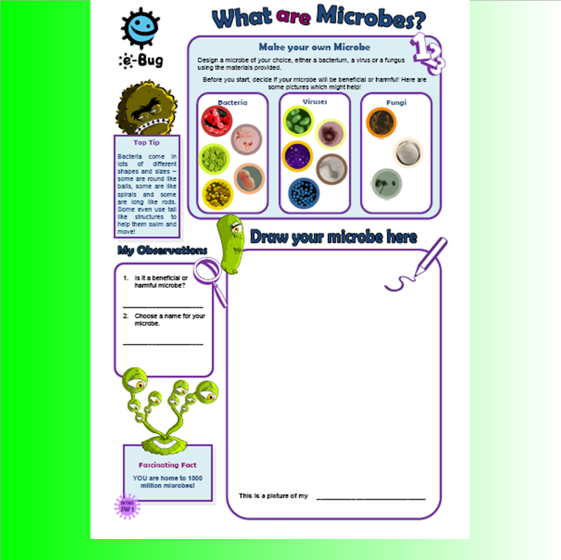 Year 2 and 3 STEM Club: Microorganisms