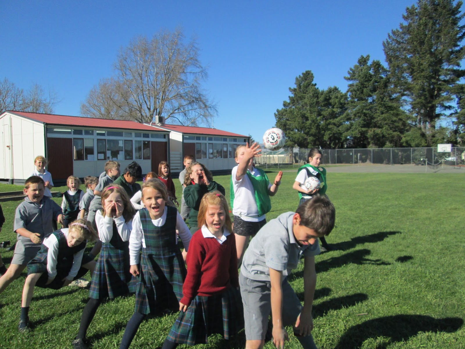 Amuri Area School: 2013