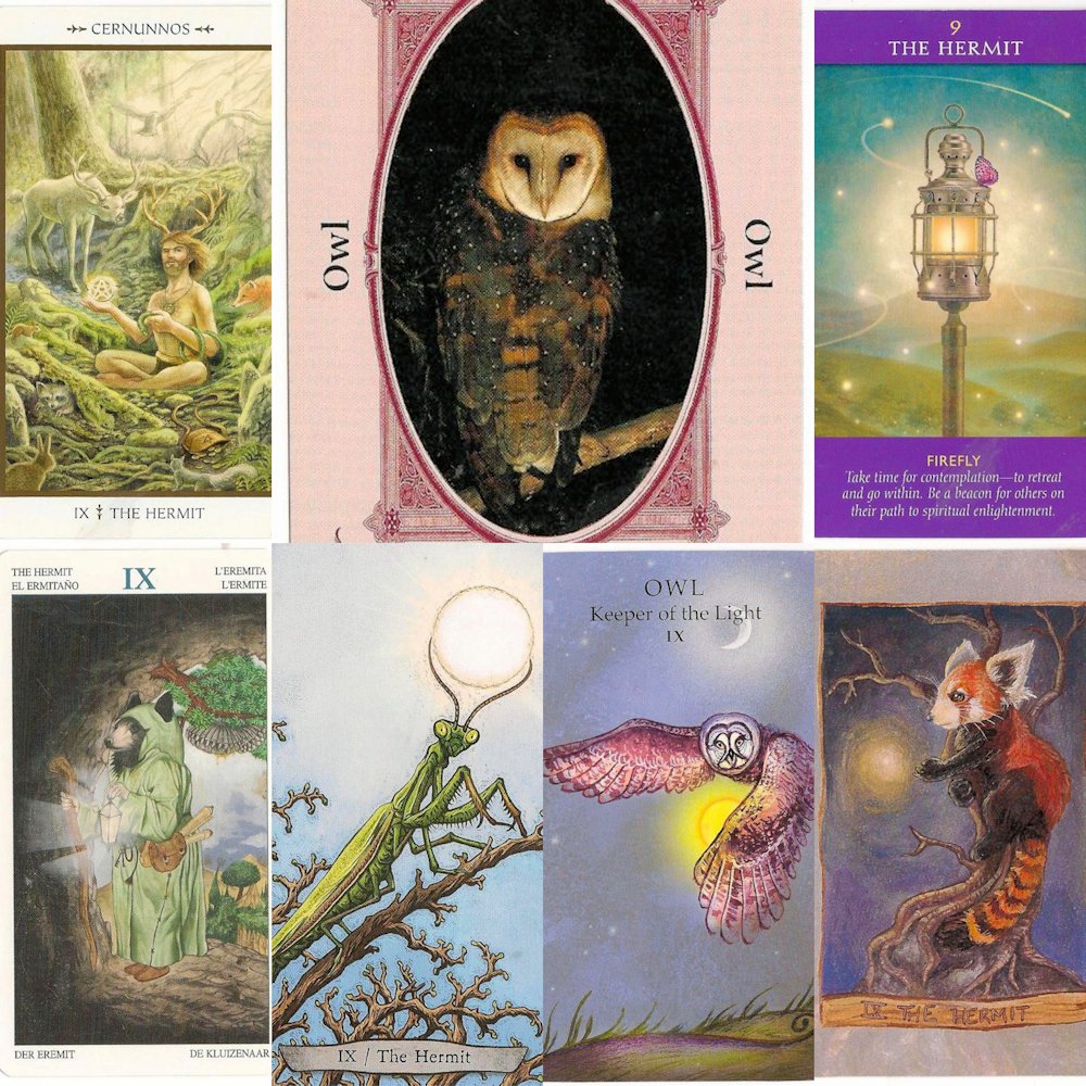 Tarot Notes: Animal Tarot Time: THE HERMIT