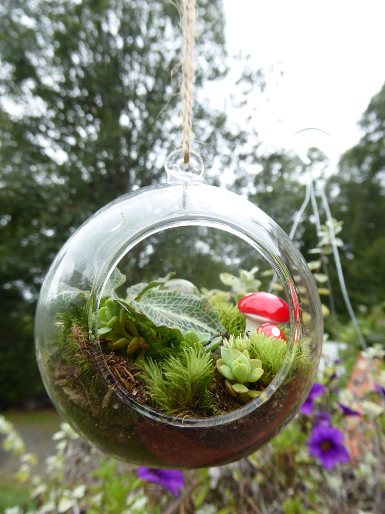 Simply Enchanted Life: Mini Hanging Moss Gardens