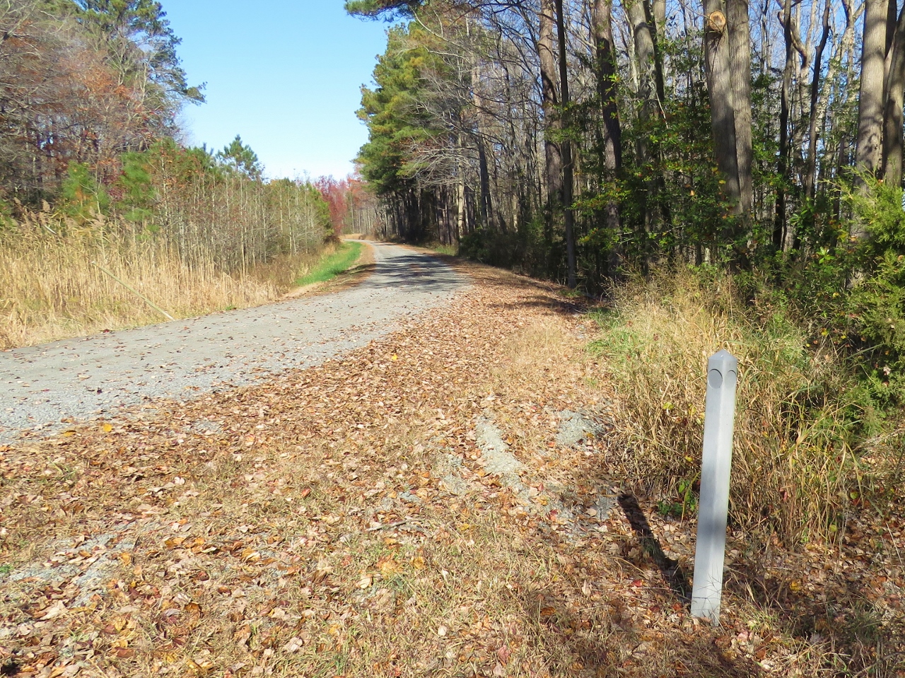 Gone Hikin': Prime Hook National Wildlife Refuge, DE