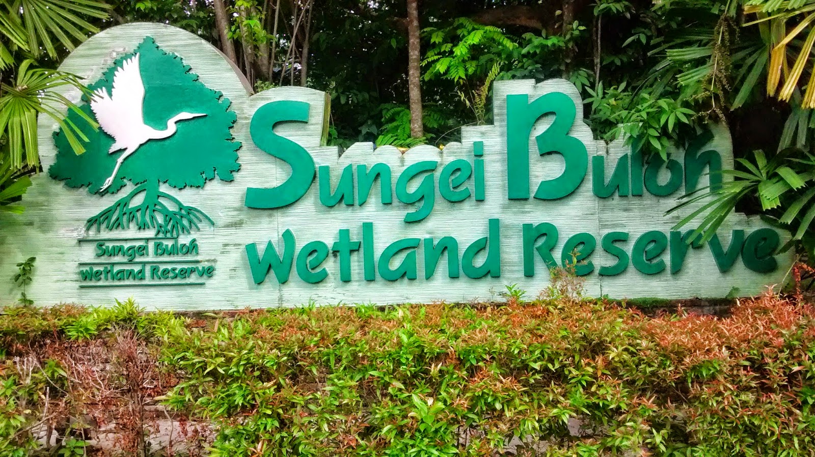 Getting to and around Sungei Buloh wetland reserve in Singapore - Vu ...