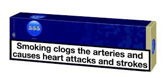 State Express 555 Gold 50x10x20 | E-WHOLESALE CAMBODIA