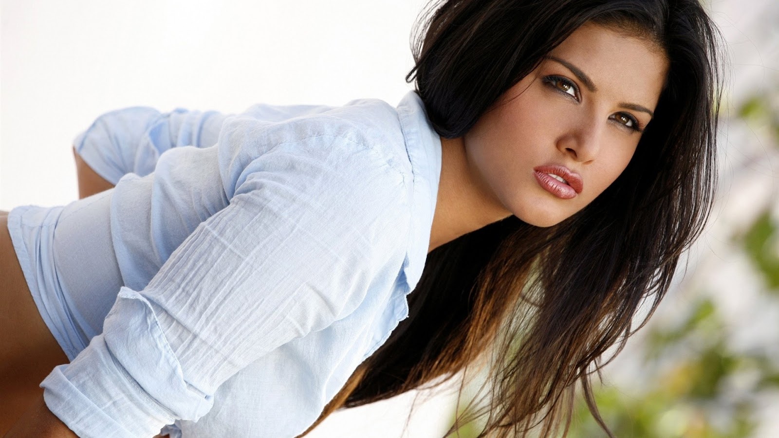 معرض صور ساني ليون