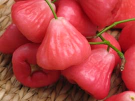 Simple Childhood Stories: Alamat ng Macopa