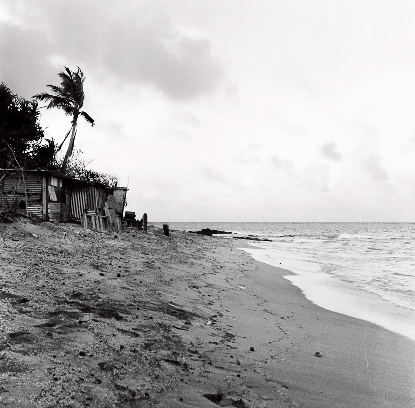 Life in Fine Art: Mer Island as seen through the Yashica D