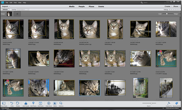 Tips and tricks for Photoshop Elements