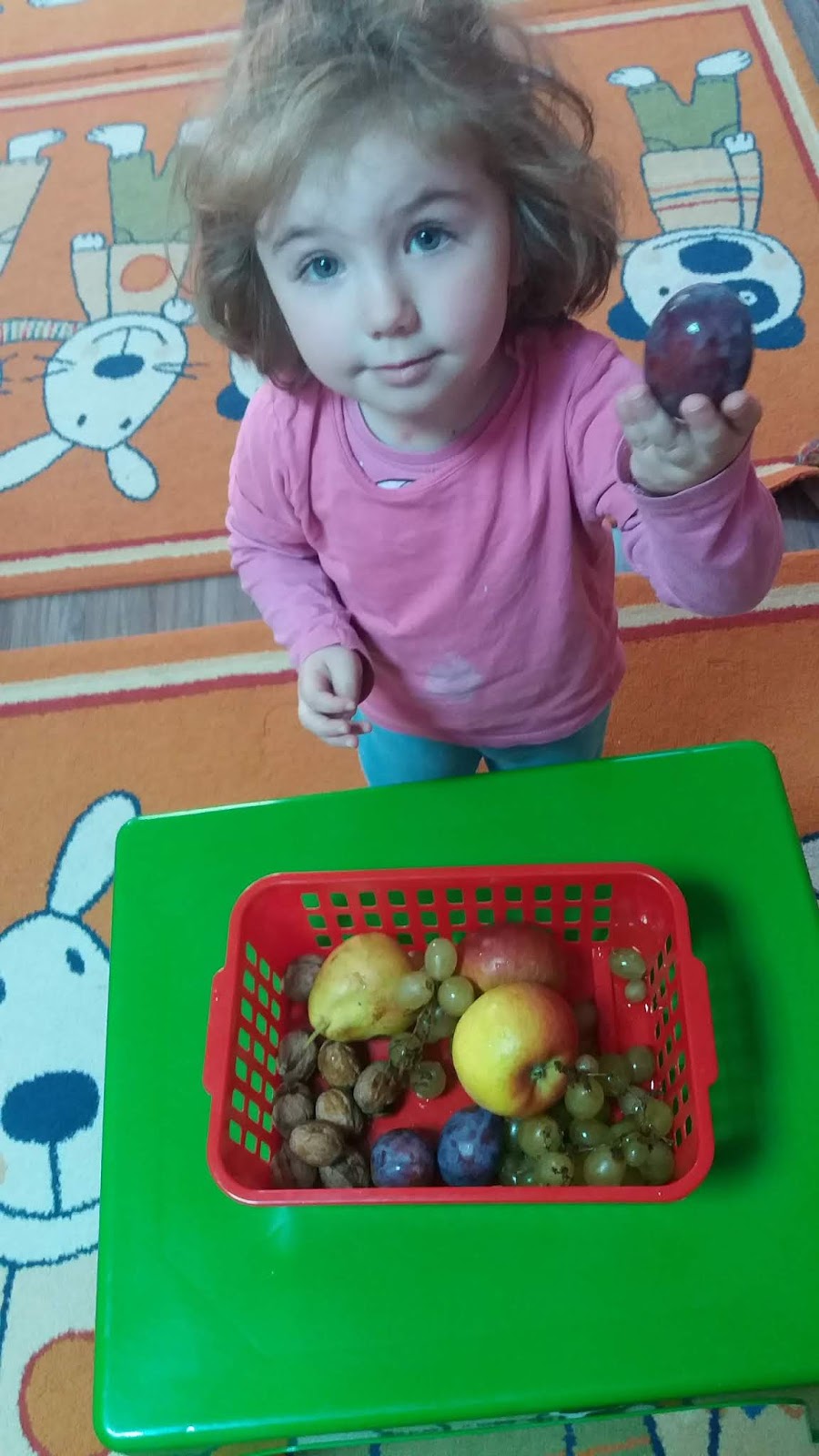 Grădiniţa Iris: Fructe de toamna