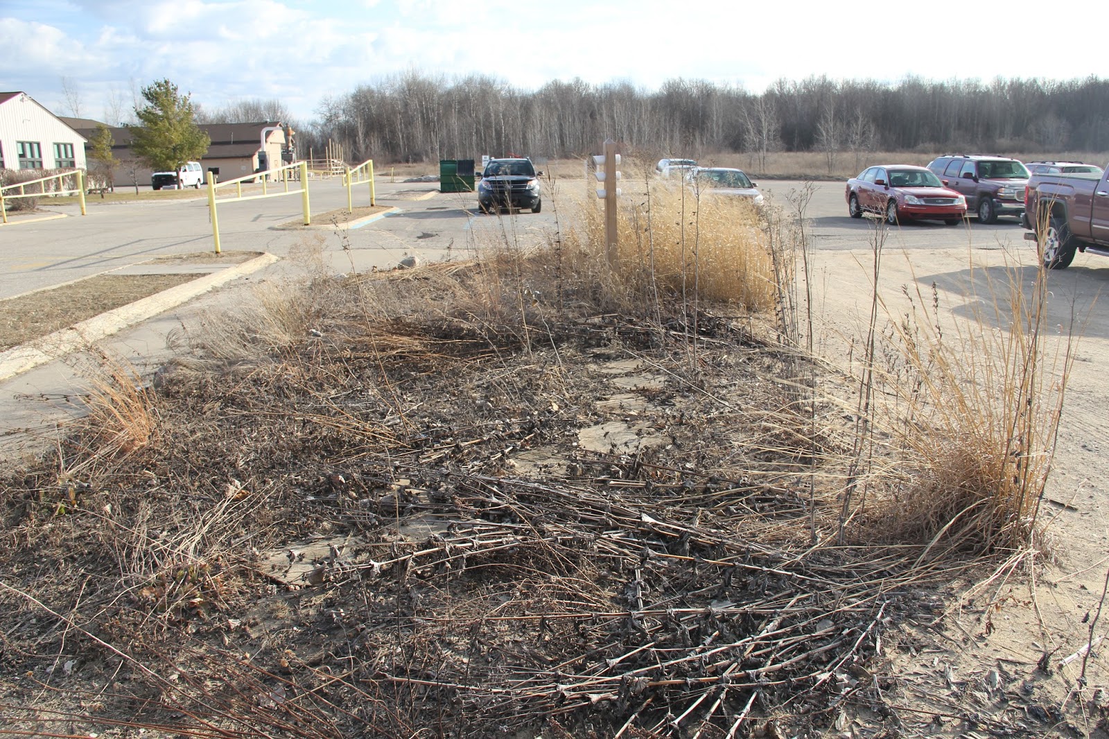 Isabella Conservation District Environmental Education Program: March 2018