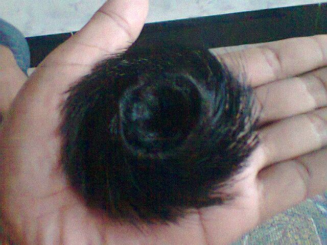 kioas sragi: barang antik dan langka