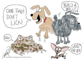 DoinMyToons: Cane Toad Invasion