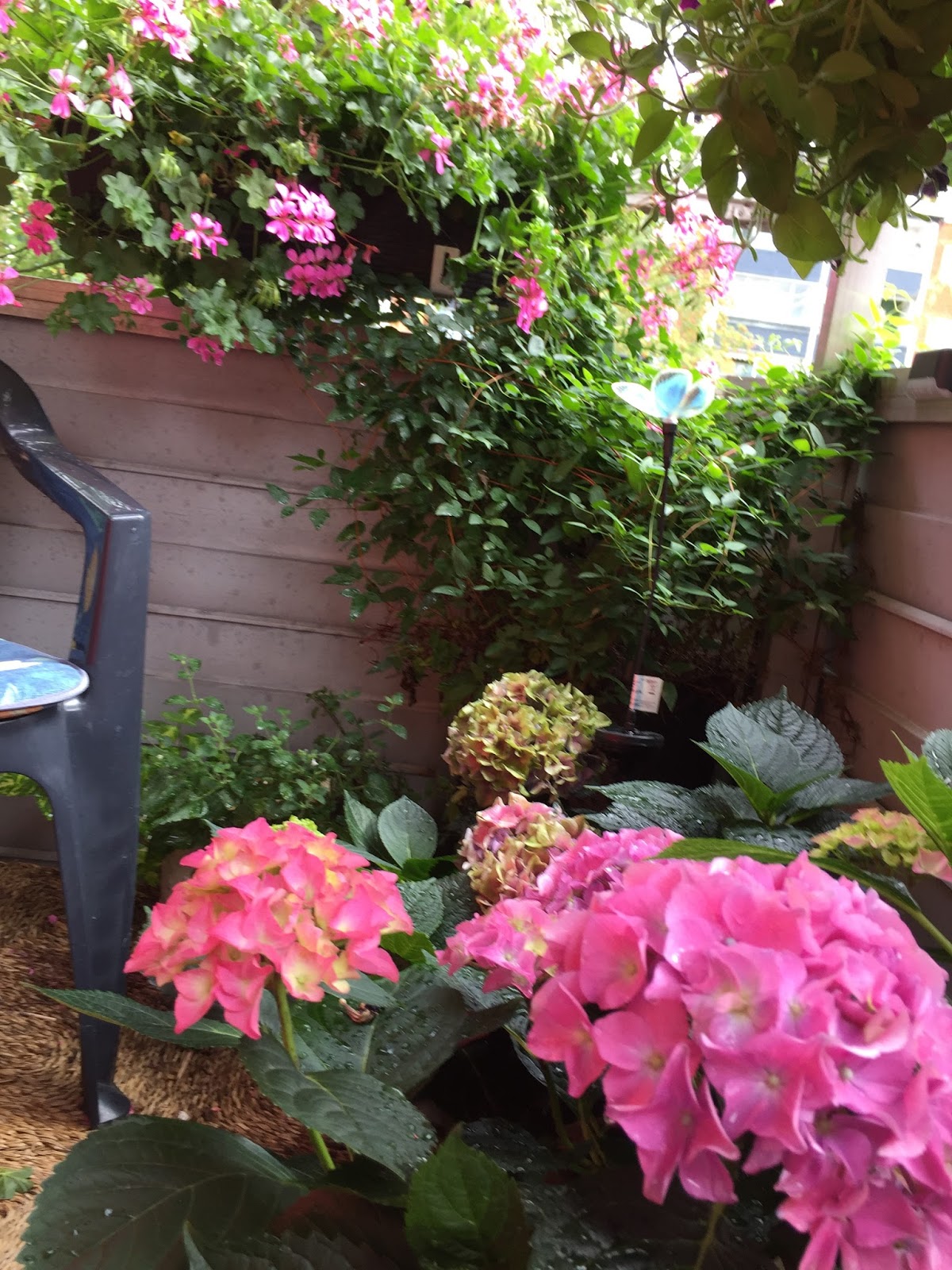 Ingrids blogg: Blomsterprakt ...